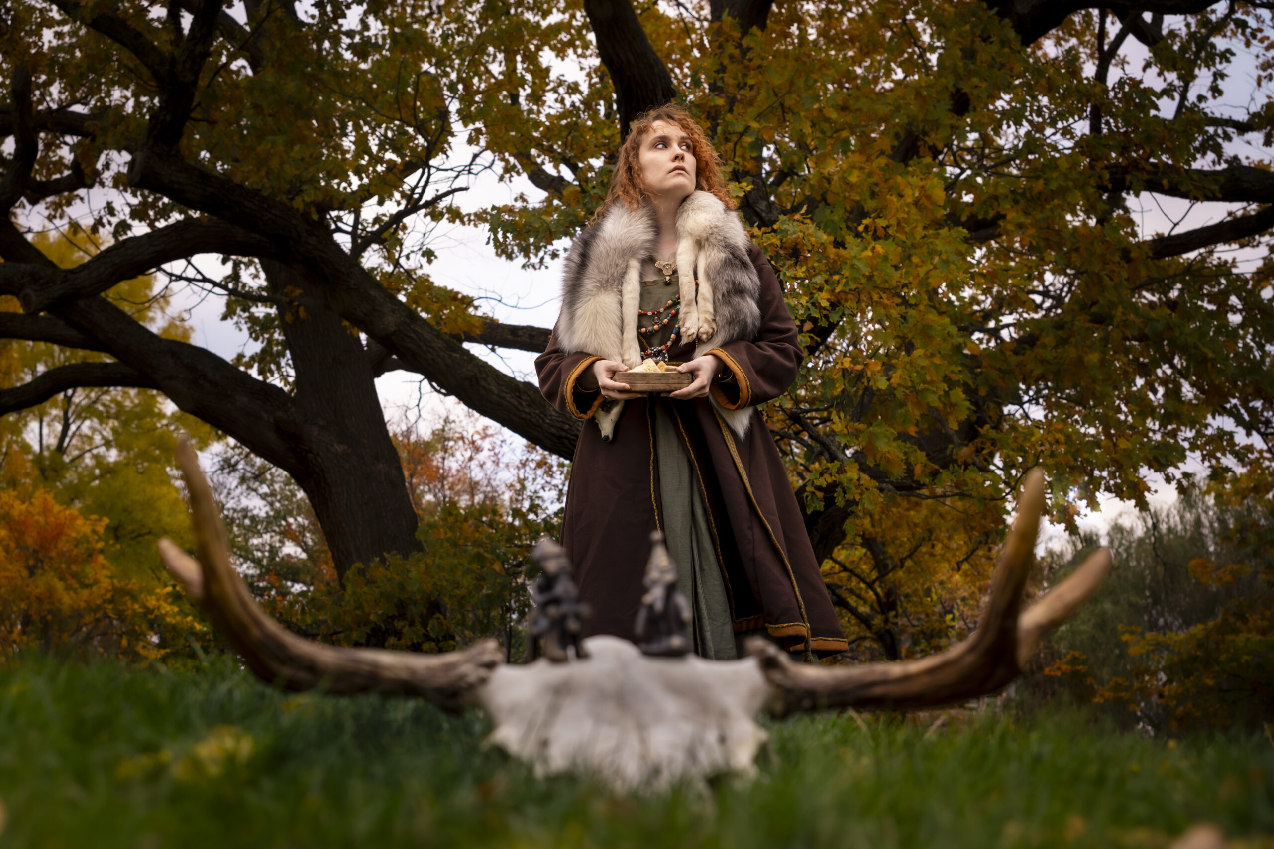 Alfablot - The Viking Museum