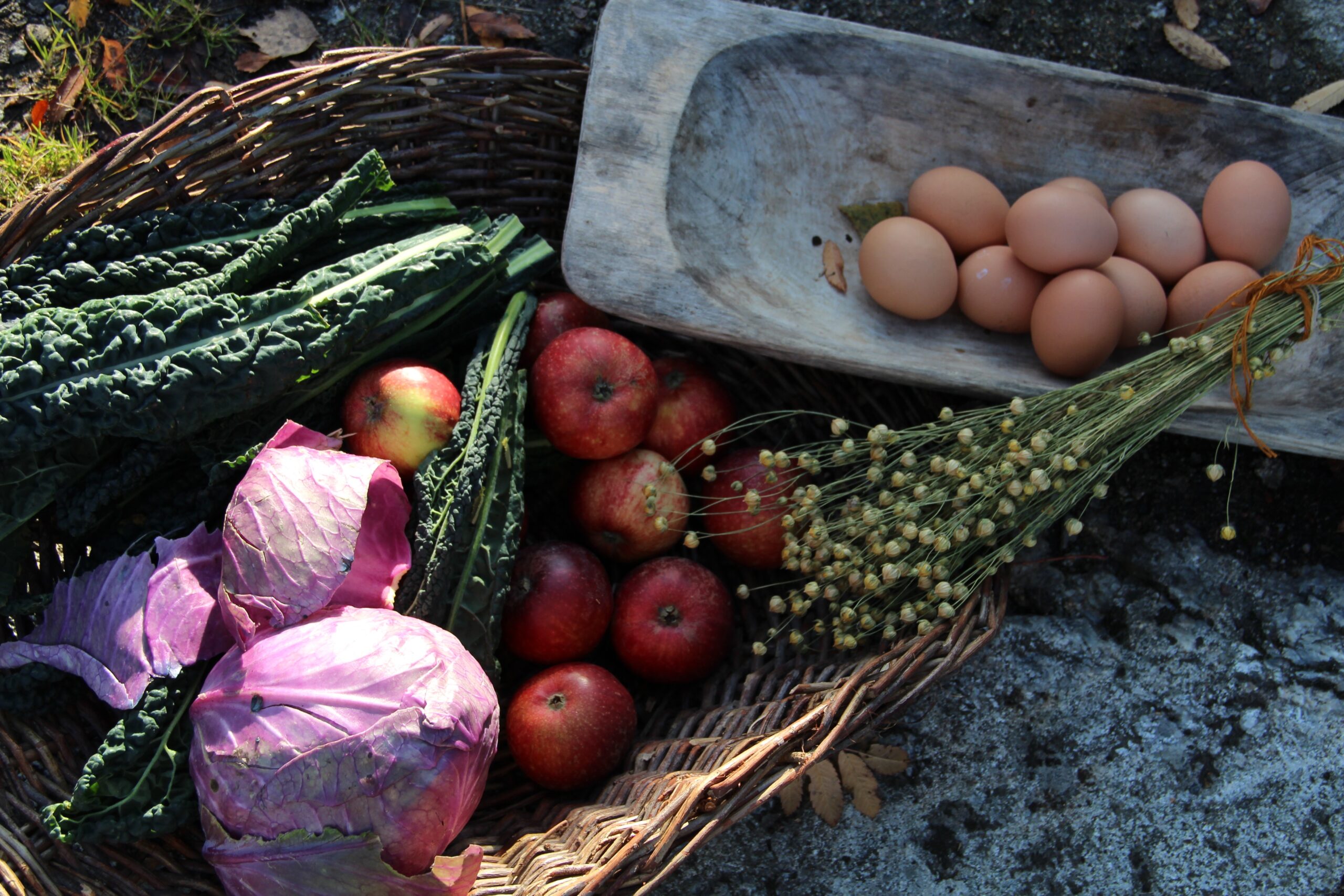 Easter Break: Life on the Farm - The Viking Museum